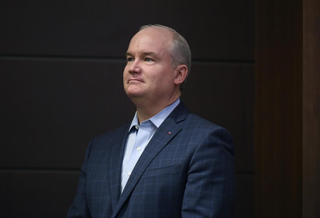 Erin O'Toole chosen as leader of Conservative Party of Canada ...