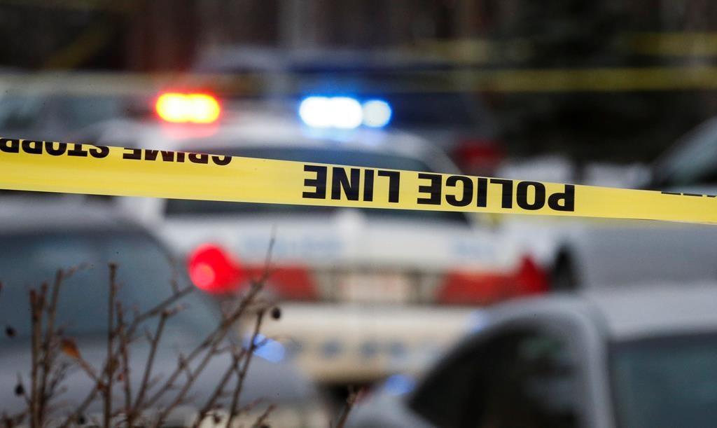 Police calls for domestic violence, mental crises rise during pandemic