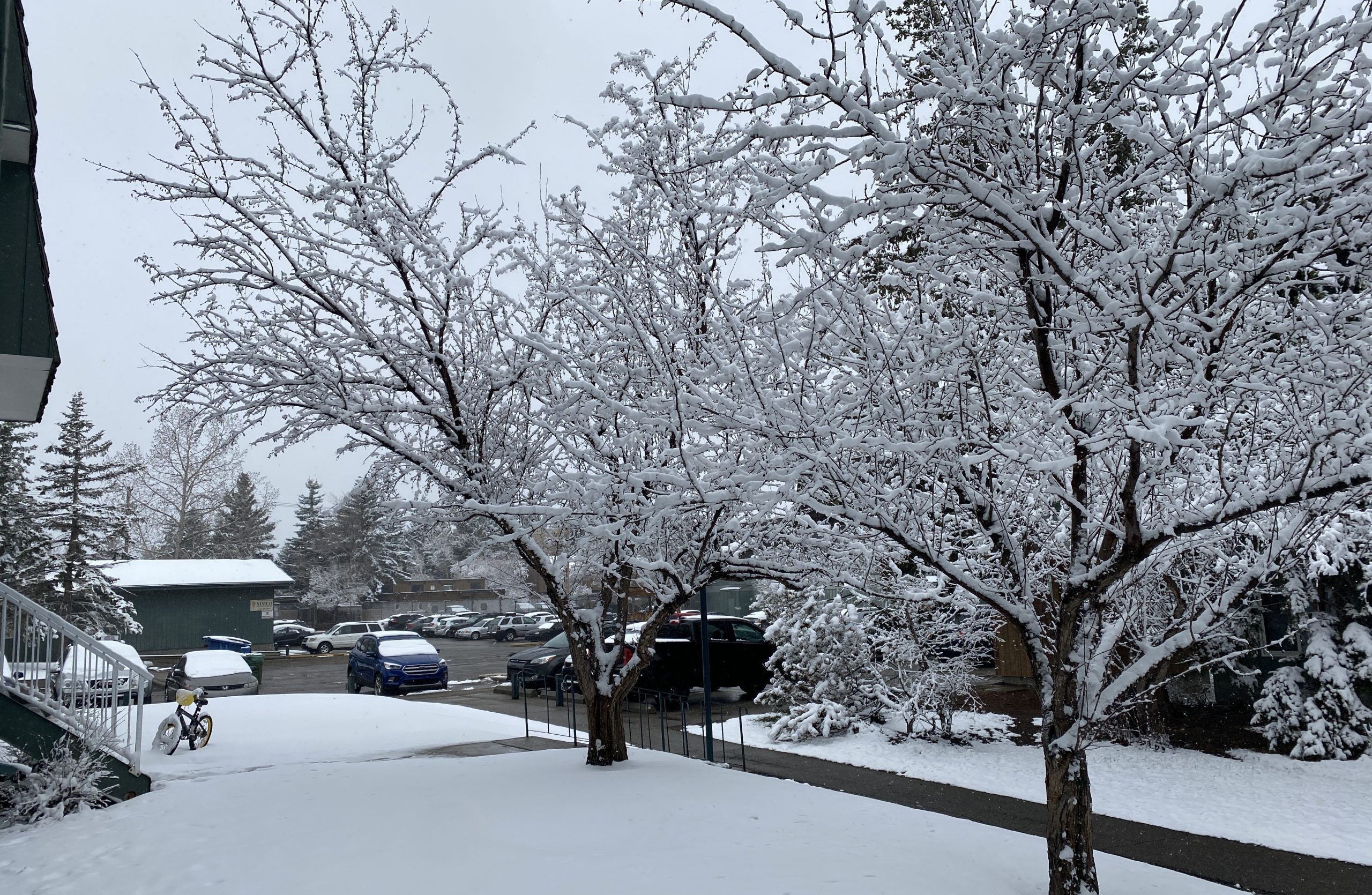 Snowfall warnings blanket much of southern Alberta, some areas could ...