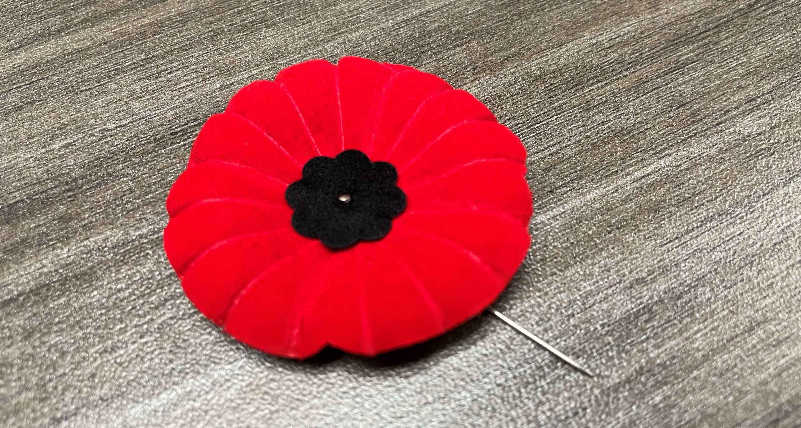 Crowd gathers for Remembrance Day ceremony at Edmonton City Hall