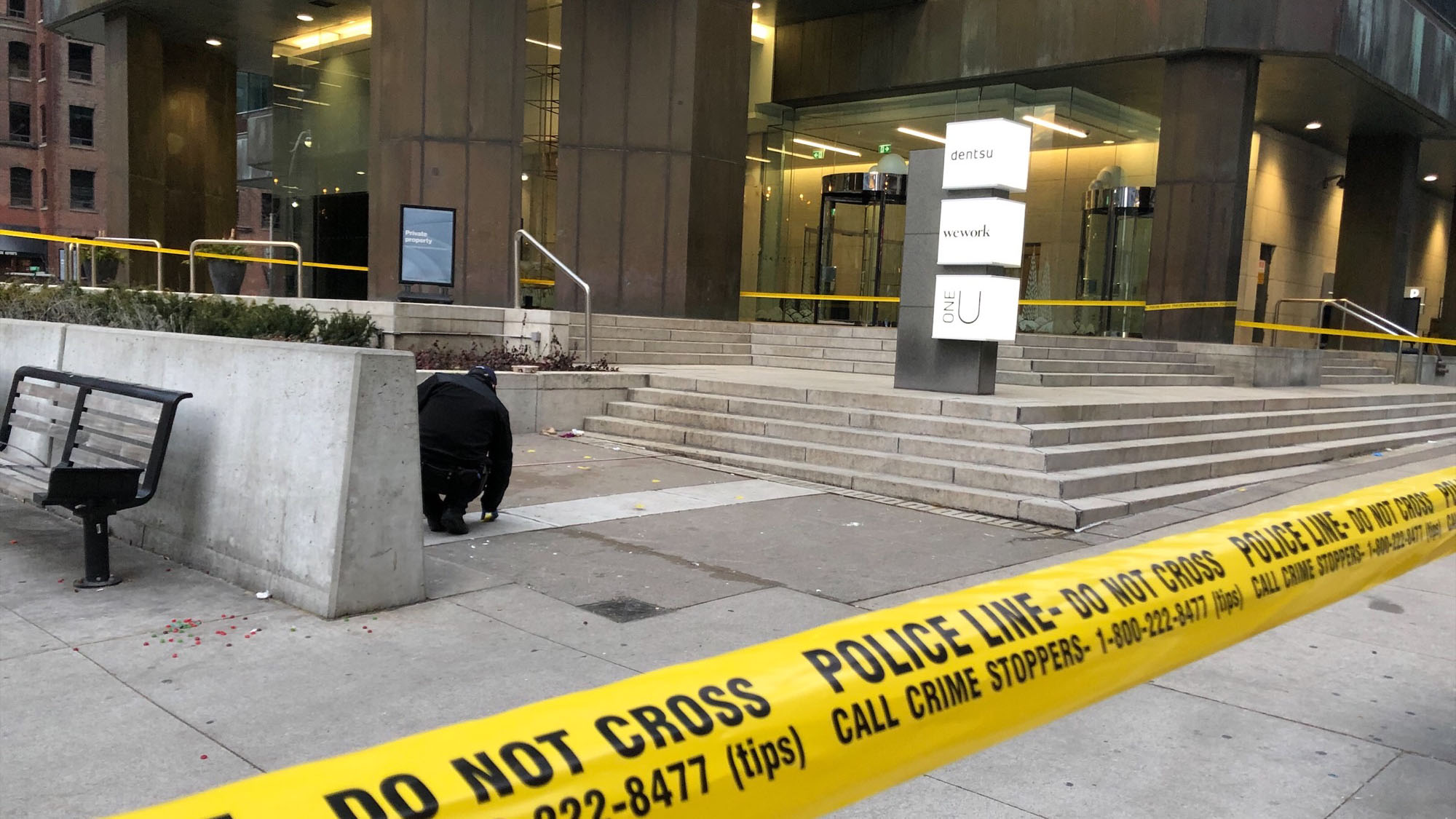 8 teen girls in Toronto are facing murder charges after an alleged ...