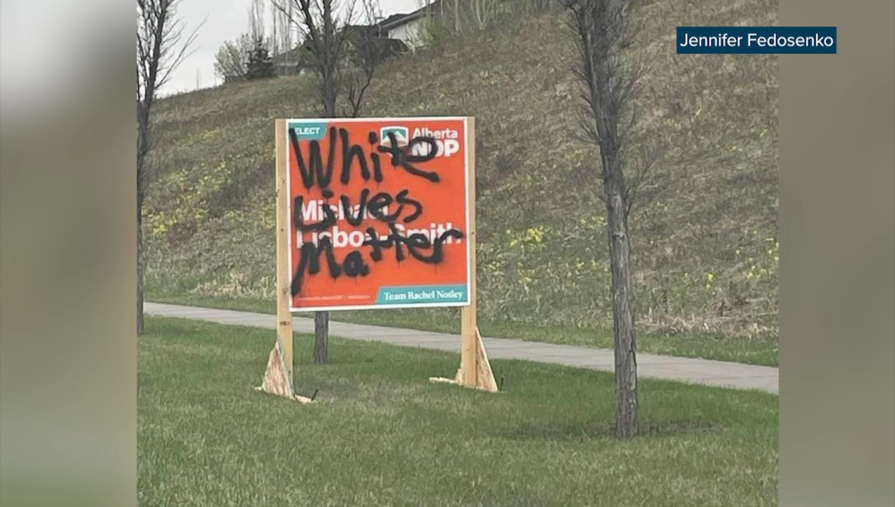 Alberta election: Rise in alleged voter intimidation | CityNews Edmonton