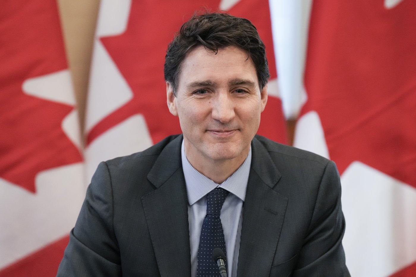 Trudeau says Canada 'ready' for Trump tariffs as ministers make final ...