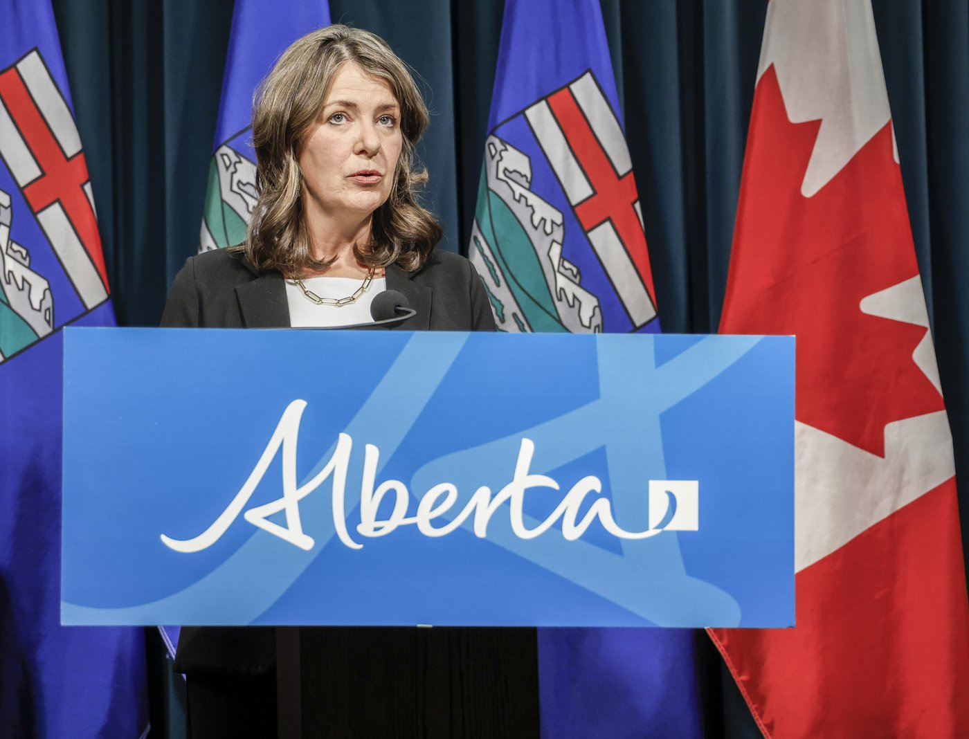 Outgoing Edmonton police chief named head of Alberta Public Service