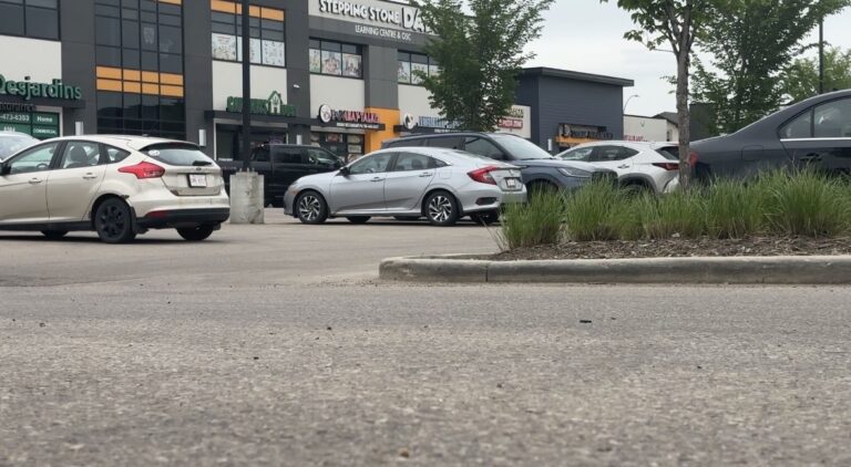 Breaking News - Top Local Stories - CityNews Edmonton
