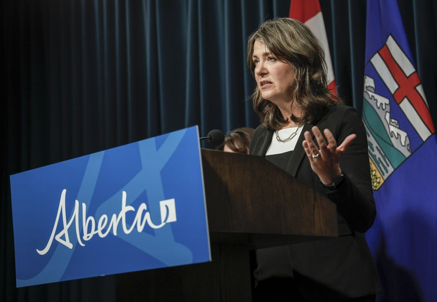 Alberta Premier Smith's blame on health agency chilling: emergency doctor