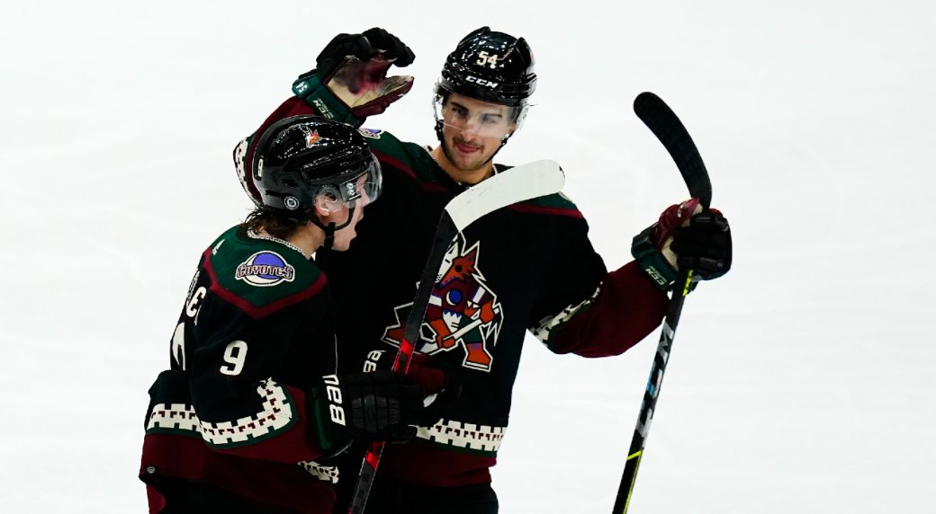 Edmonton Oilers sign defenceman Cam Dineen - CityNews Edmonton