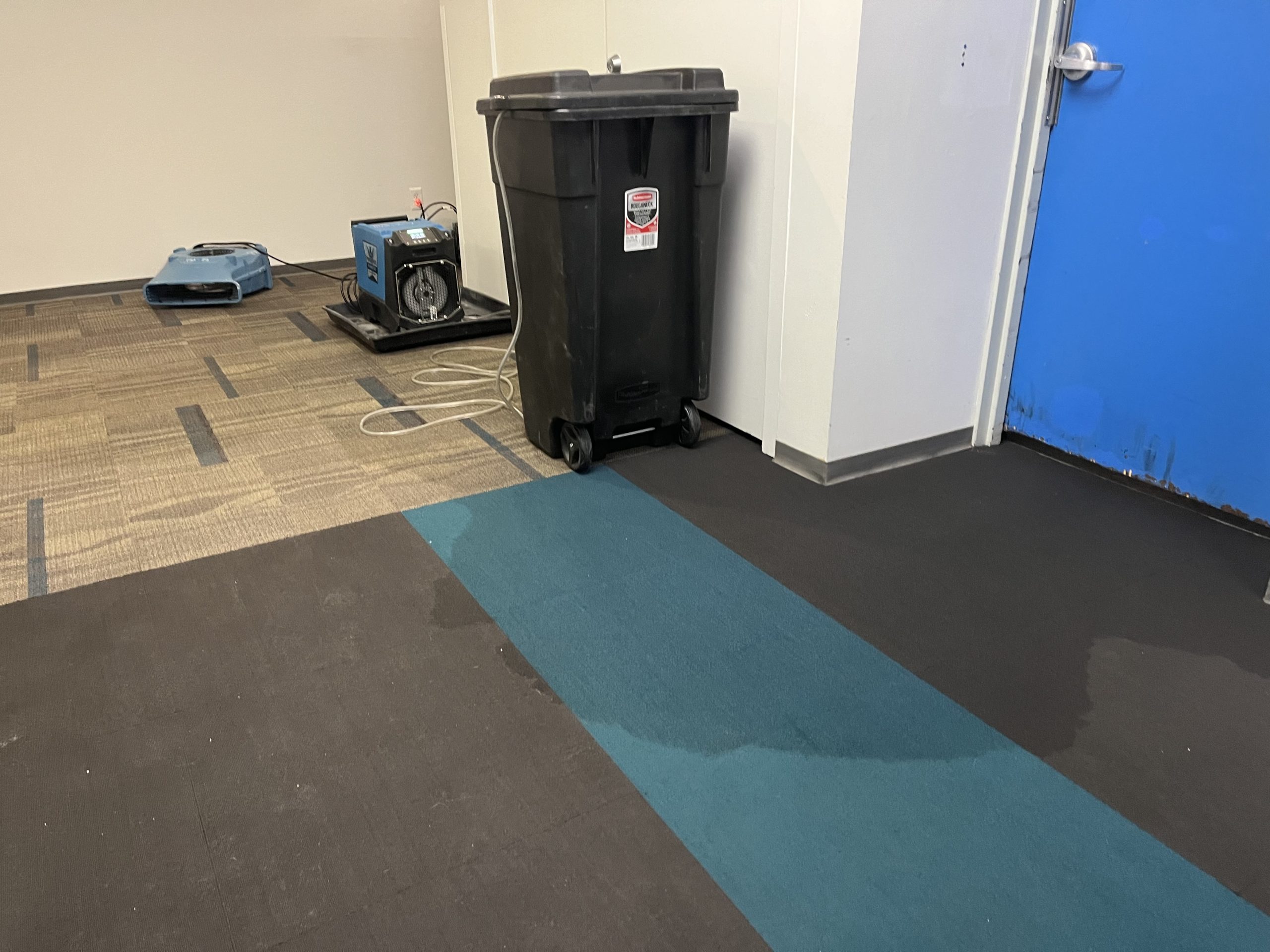 Pipe bursts at downtown Edmonton condo - CityNews Edmonton