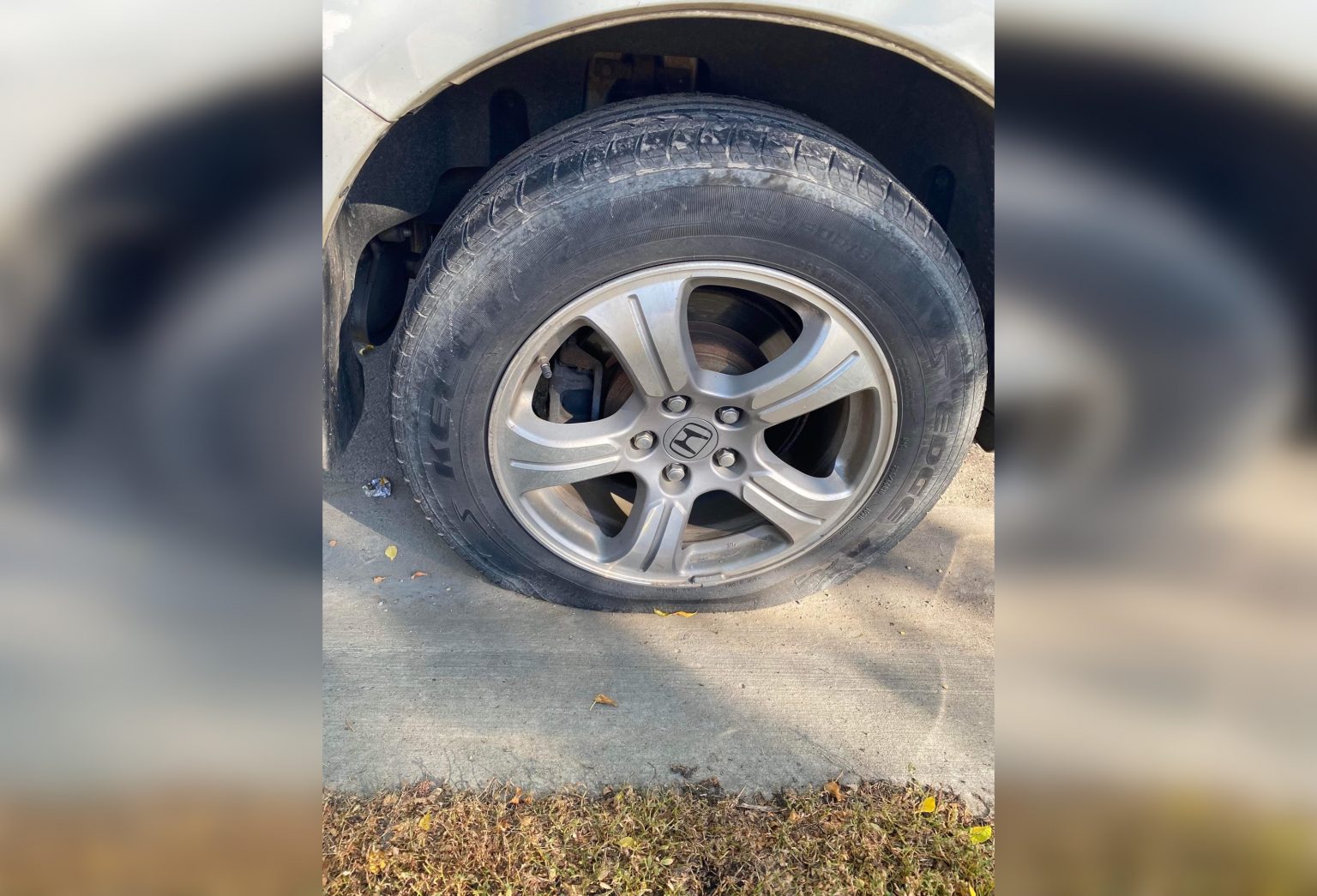 Edmonton mom angry after environmentalists deflate her SUV tires ...