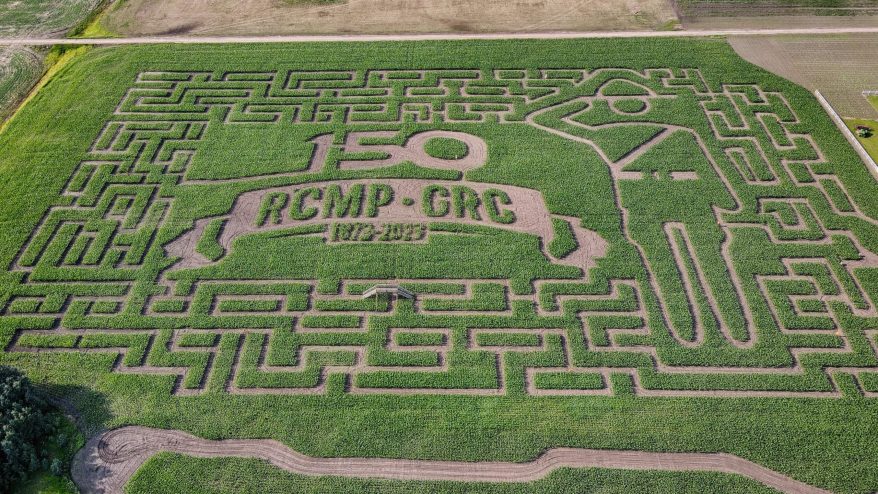 Edmonton Corn Maze apologizes for RCMP design - CityNews Edmonton