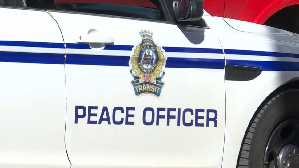15 new peace officers coming to Edmonton Transit this month, with ...