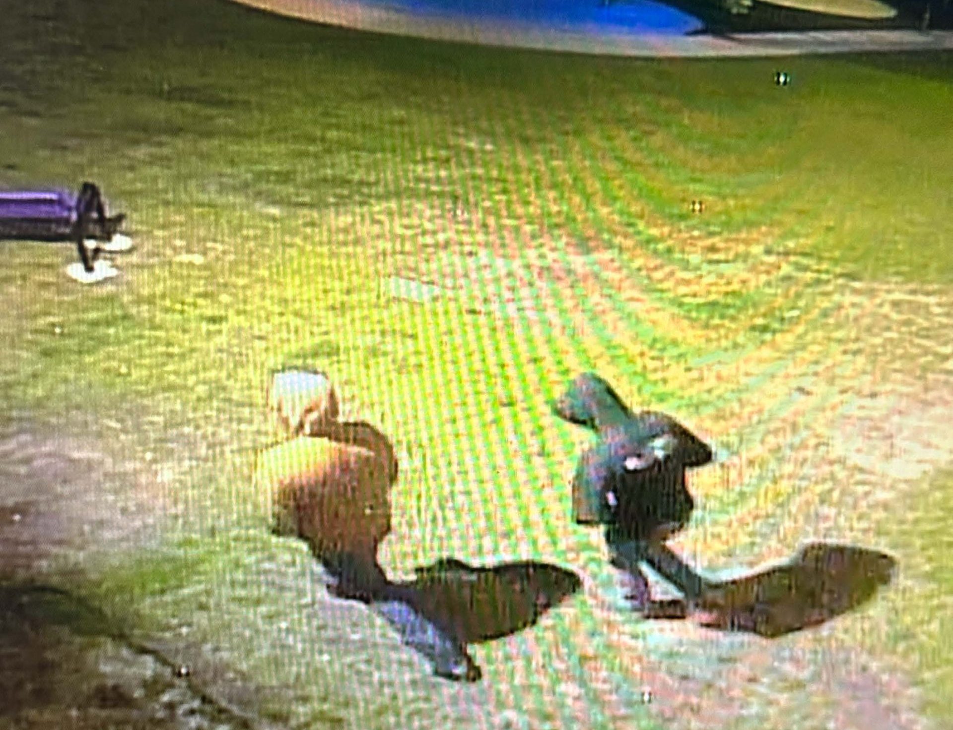 Edson Pride mural vandalized with spray paint: RCMP - CityNews Edmonton