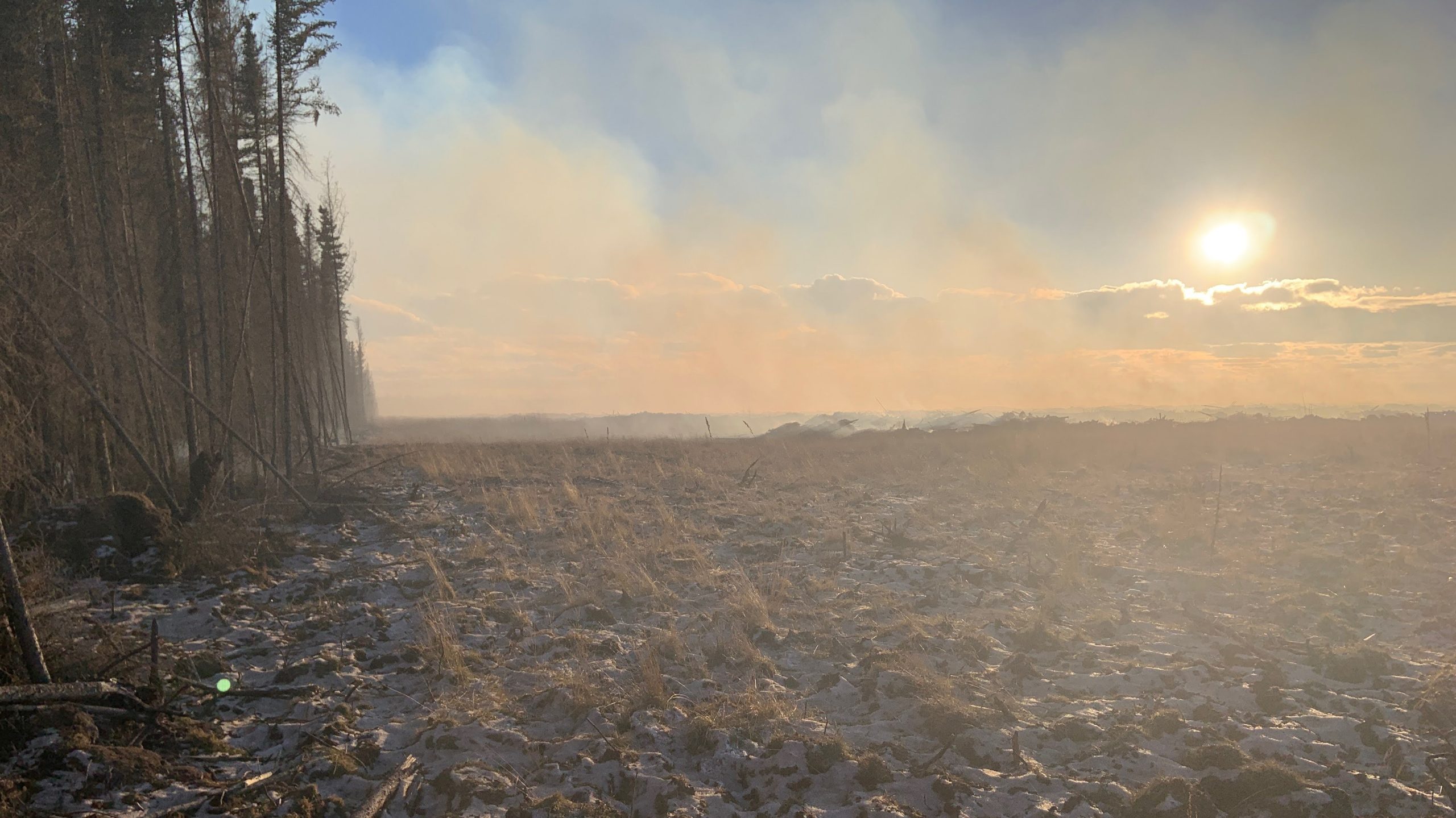 Winter wildfires raising concerns in Alberta - CityNews Edmonton