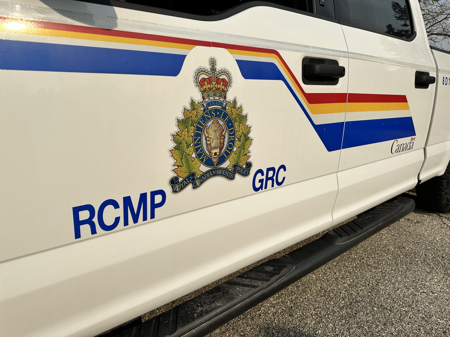 One in custody after RCMP respond to weapons complaint at a Sherwood ...