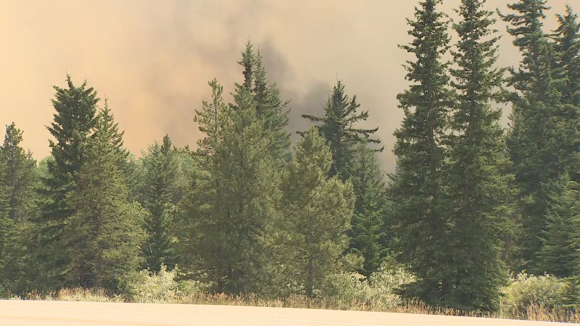 Jasper wildfire evacuation: 10,000 forced from their homes