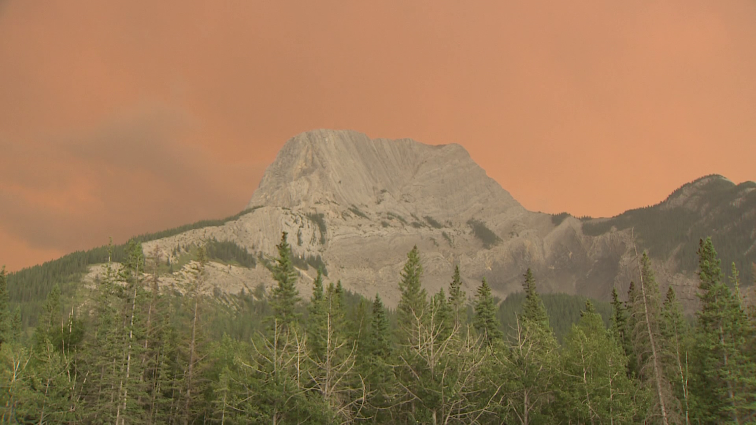 IN PHOTOS: Jasper wildfire - CityNews Edmonton