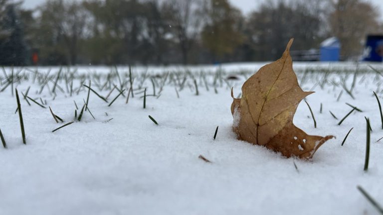Parts of Alberta expecting snow Monday
