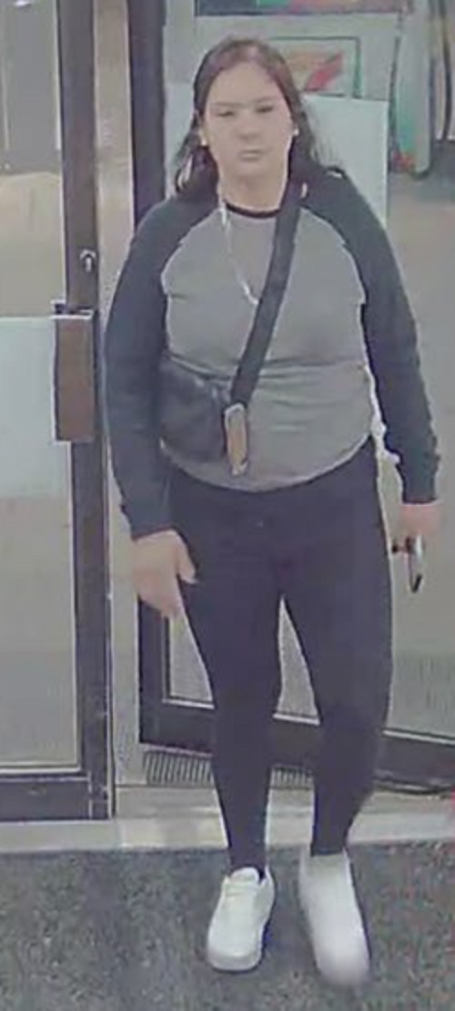 Edmonton police leading multi-provincial search for woman who went ...