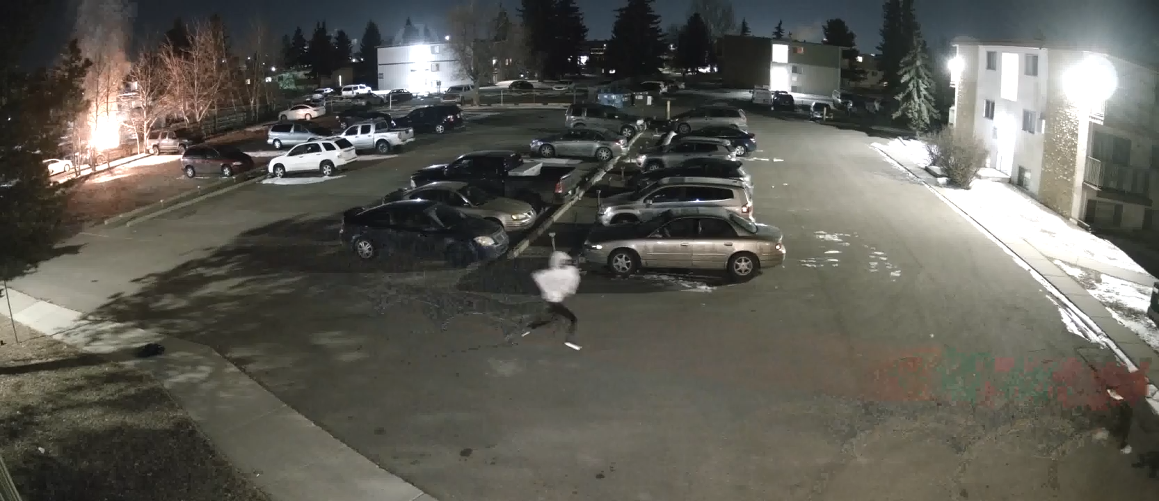 Edmonton police seek to identify March 2024 shooting, arson suspects in ...