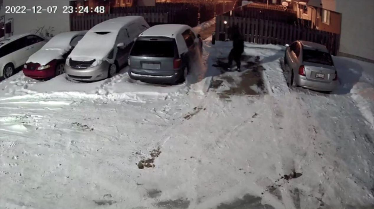Edmonton shooting: bullets narrowly miss sleeping children - CityNews ...