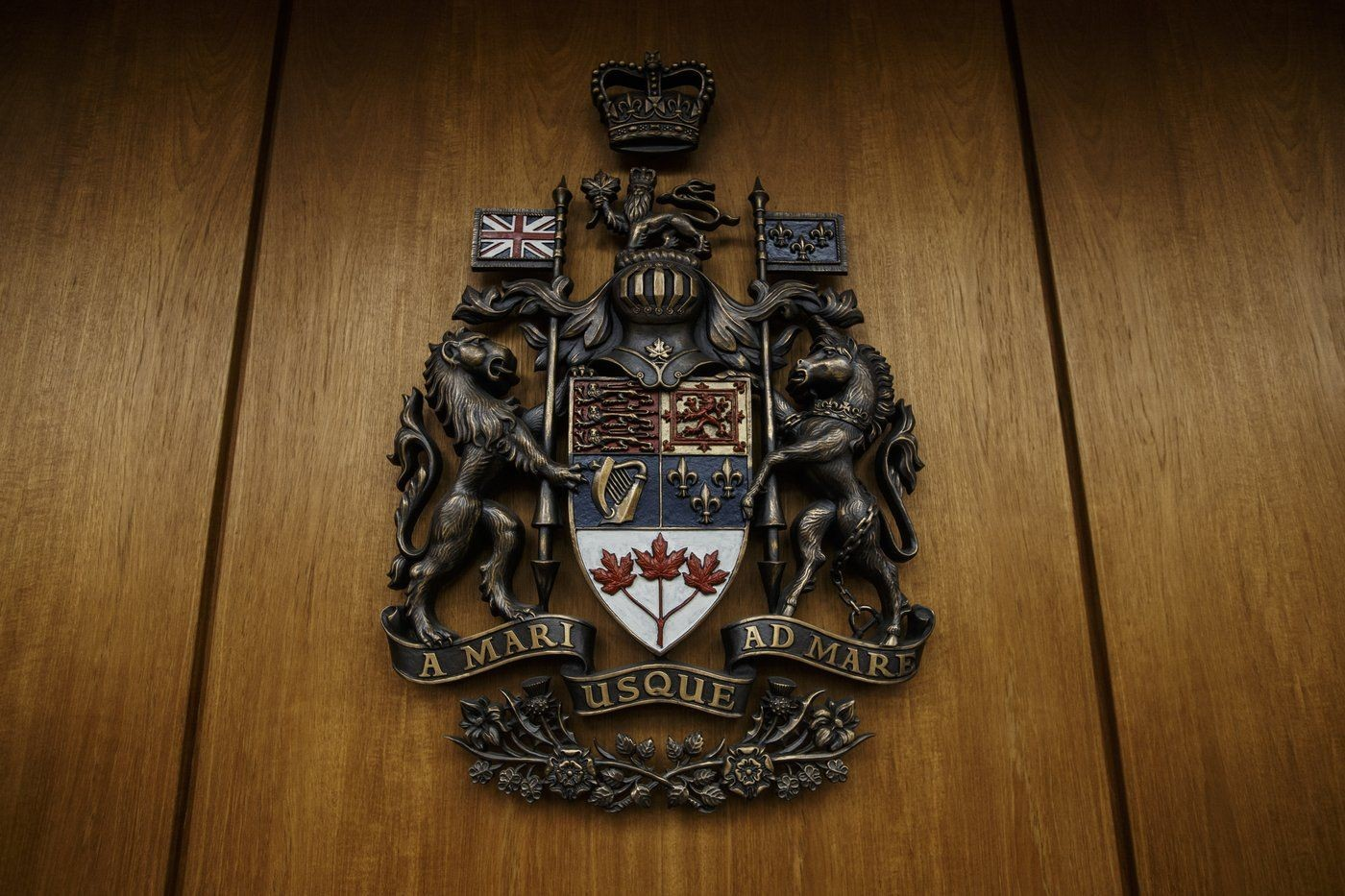 Mill Creek outdoor pool reopens with a splash after 4 years