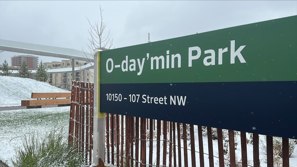 New public park opens in downtown Edmonton - CityNews Edmonton