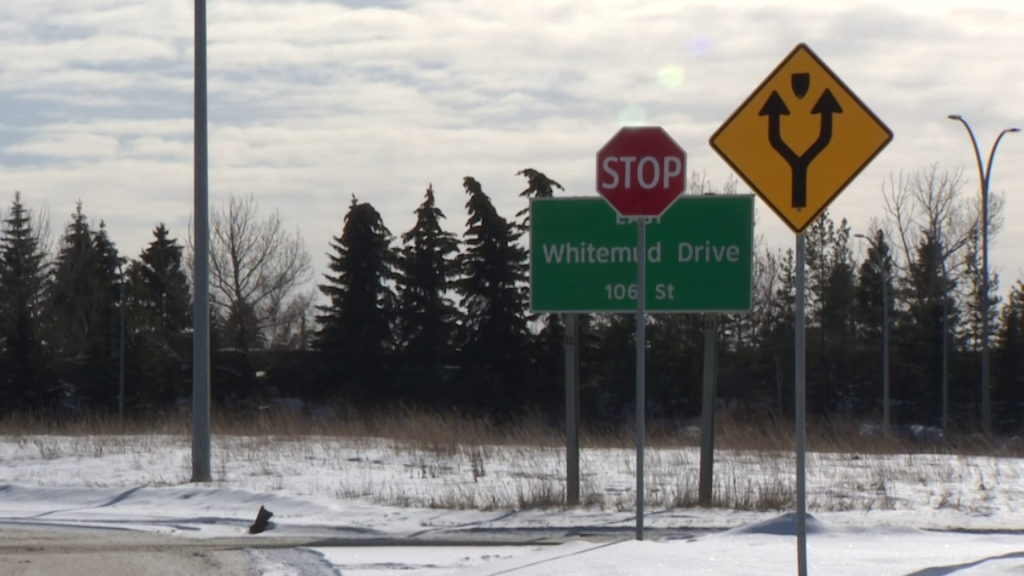 Woman dead after vehicle collides with ETS bus: police | CityNews Edmonton