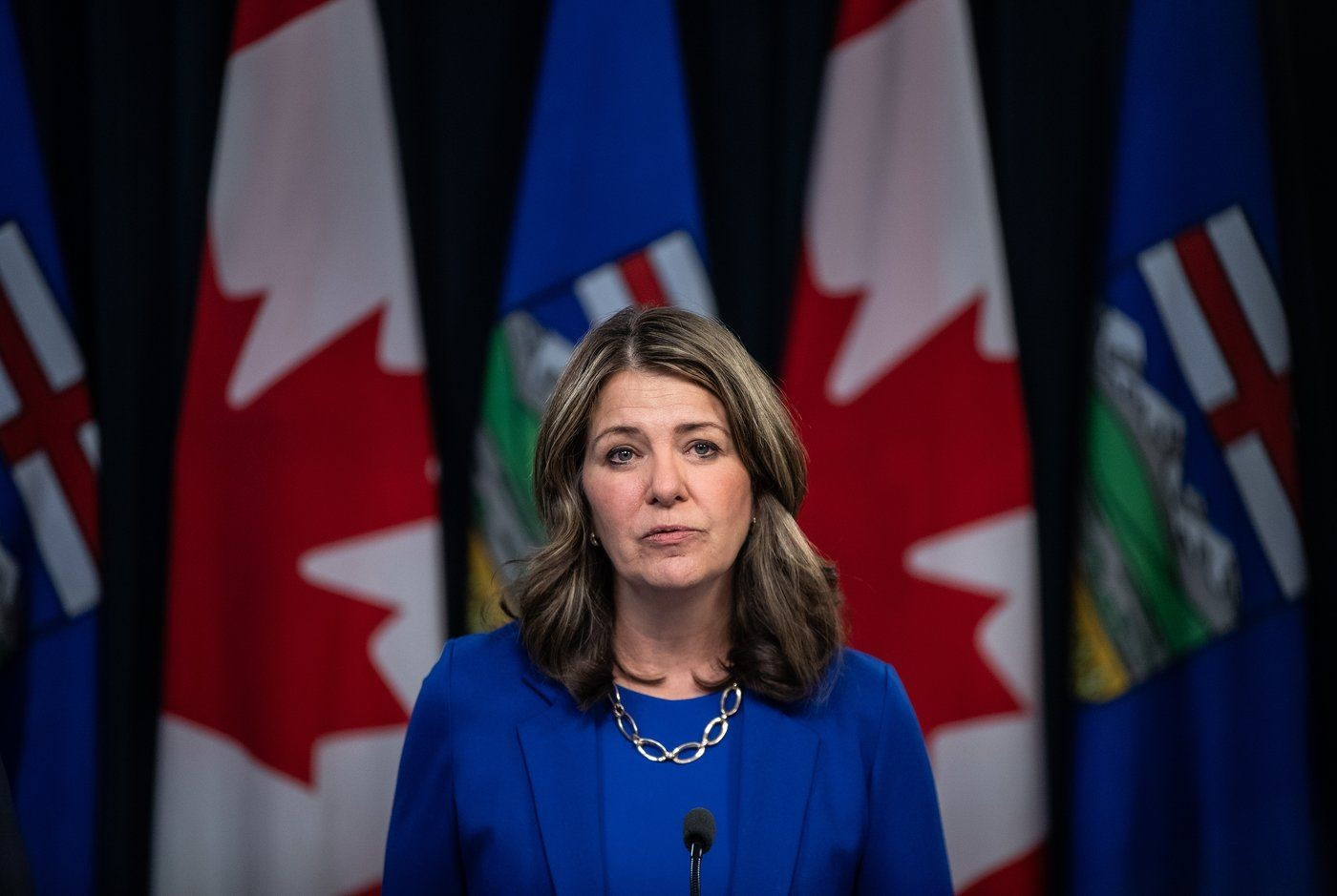 Alberta to maintain industrial carbon price freeze for 2026, leaving ...